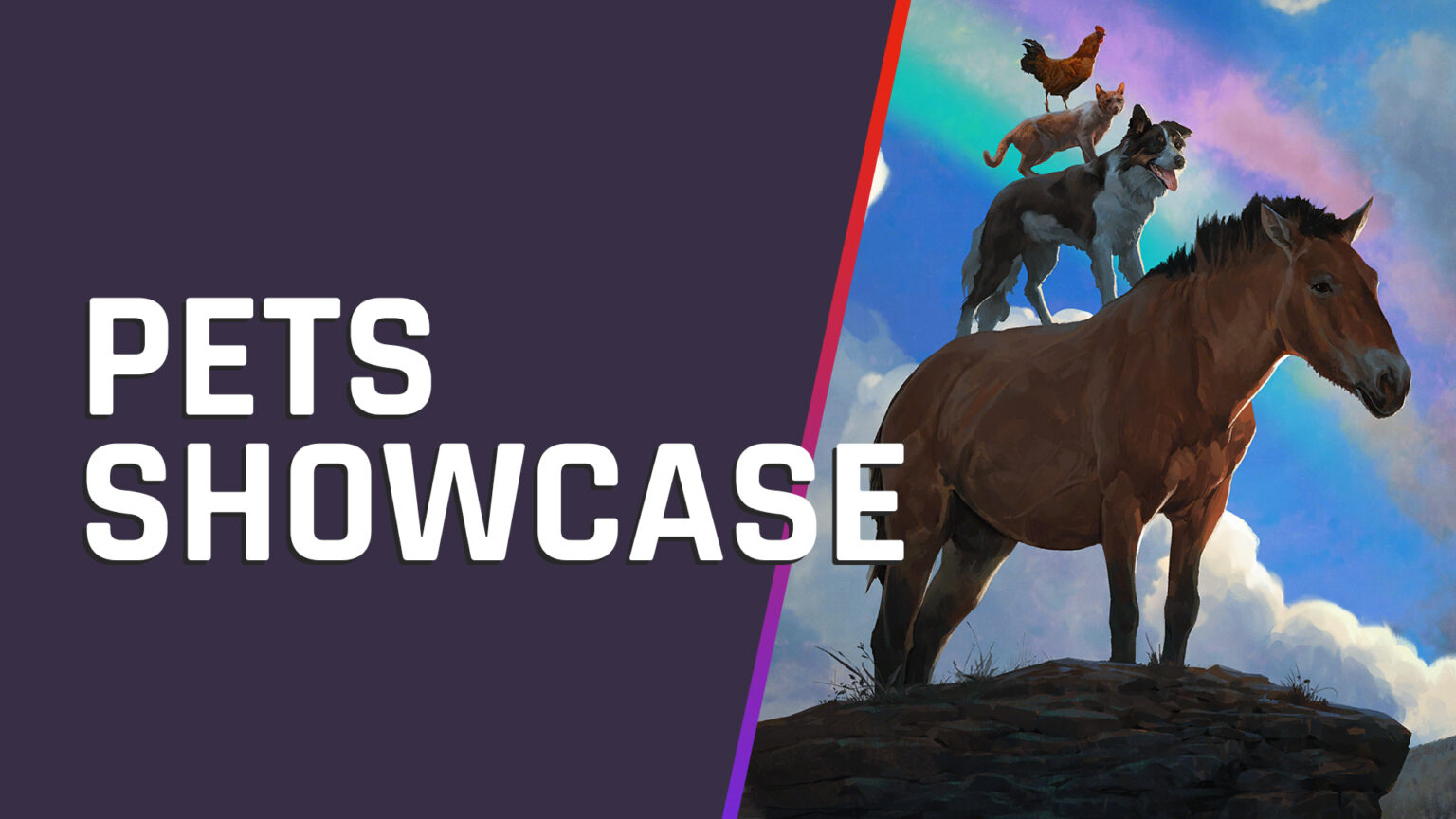 Pets showcase - Novigrad Journal